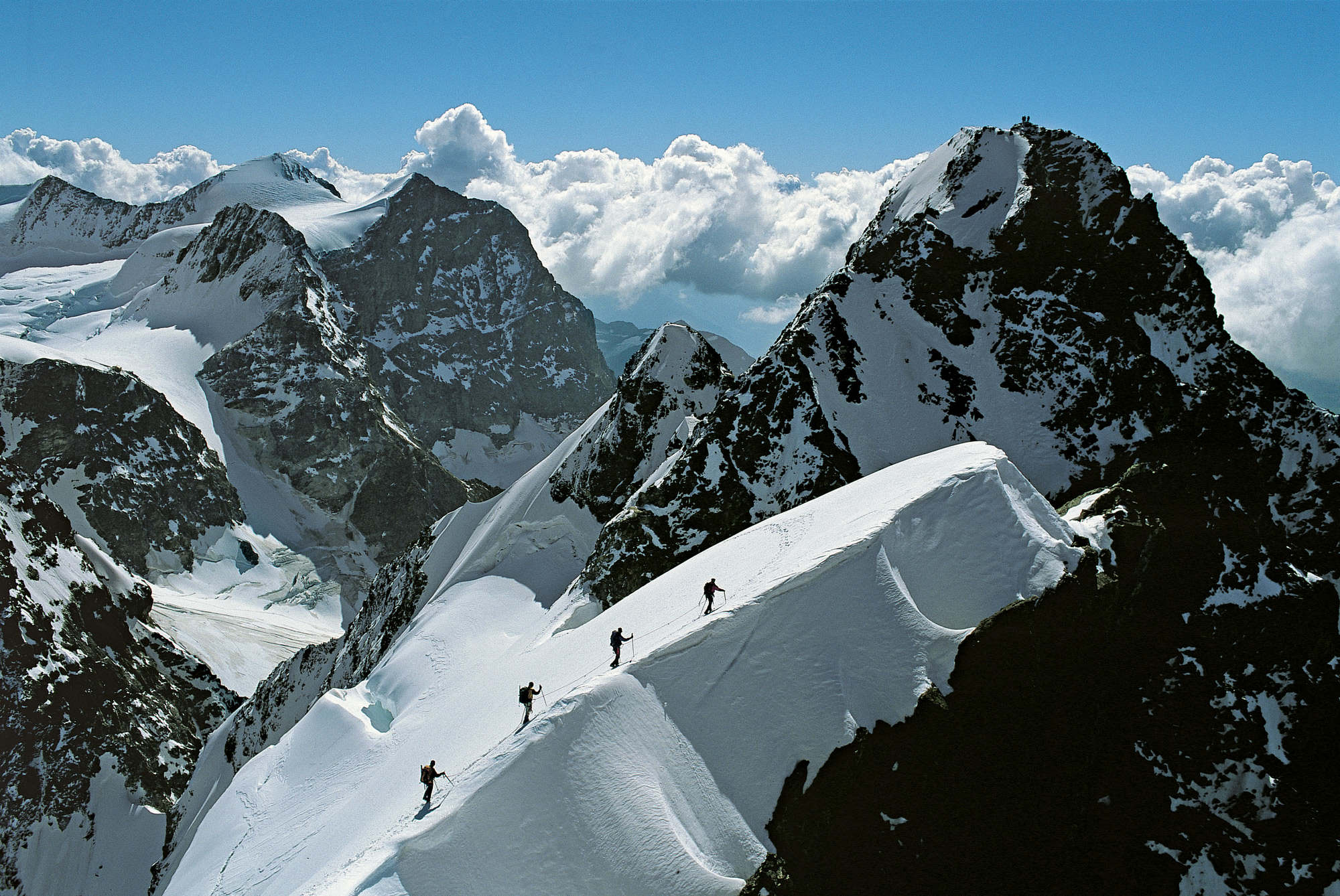 Pizzo Bernina - Speciali