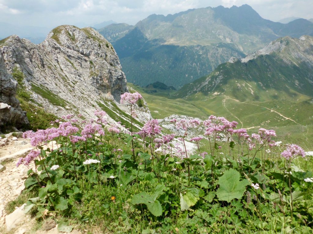Università della Montagna, bando aperto per un assegno di ricerca ...