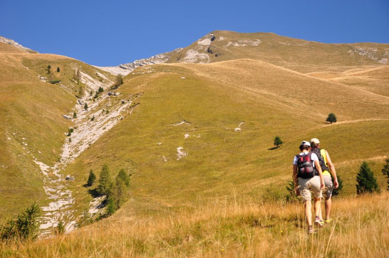 5 vette per tutti gli escursionisti in Dolomiti - Montagna.TV