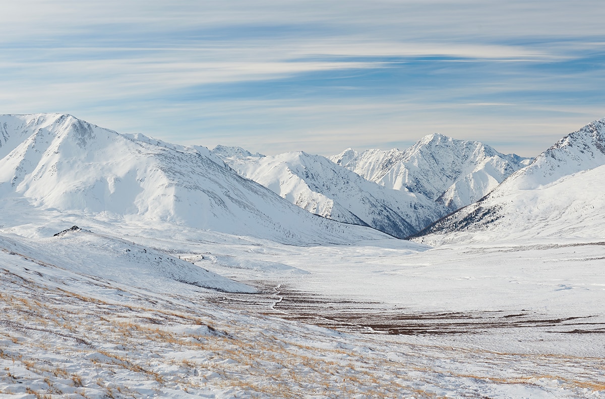 Siberia, "riportati in vita" virus intrappolati nel permafrost per ...