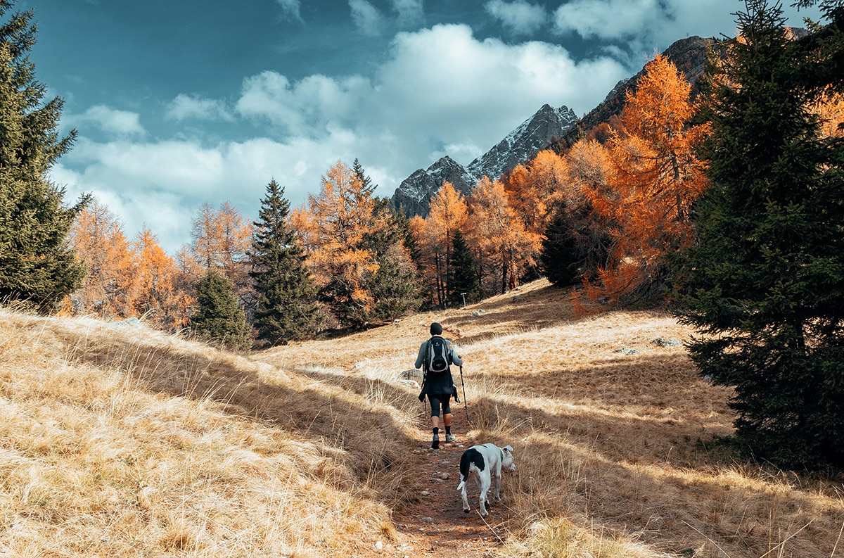 Escursioni con il cane, norme e consigli - Montagna-TV