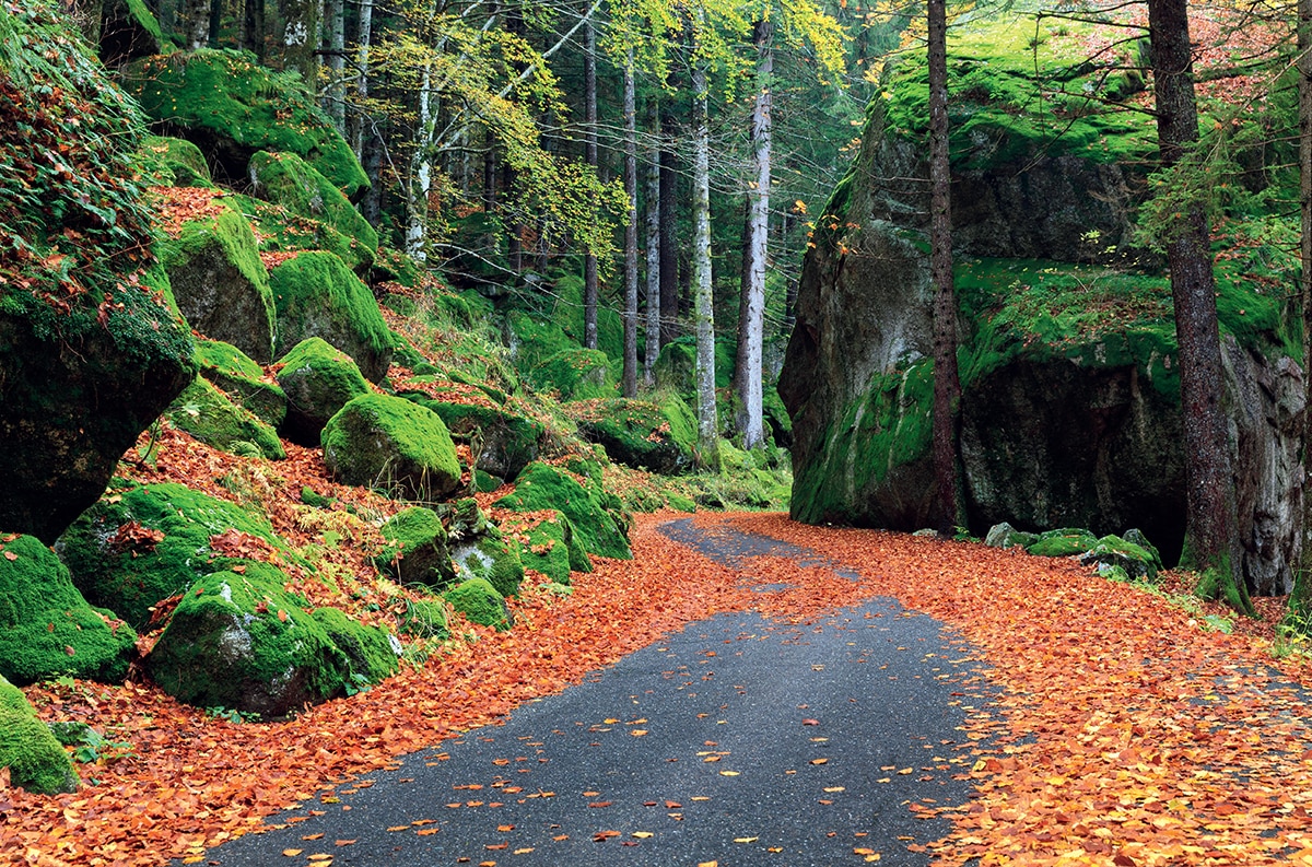 Sentiero Roma. L’avventura corre sul granito - Montagna.TV