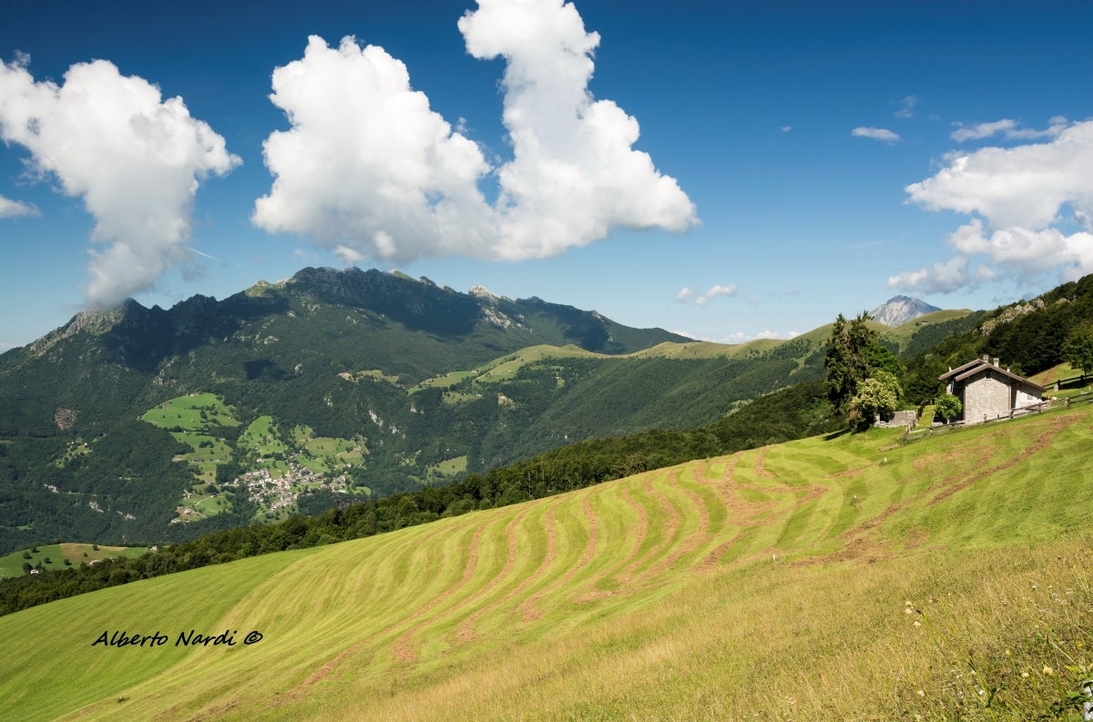 Sentiero Tre Faggi e Costa del Palio: le Prealpi orobiche danno ...