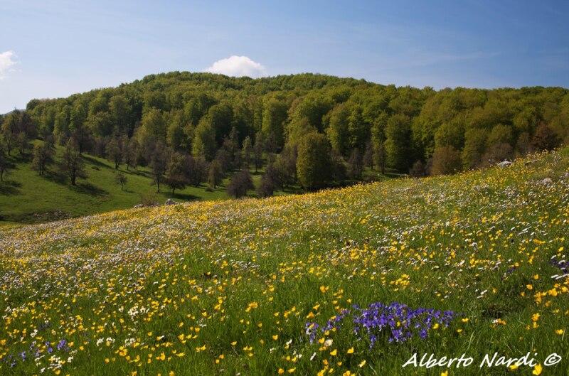 Montagna.TV | Il primo sito italiano su Montagna e Alpinismo