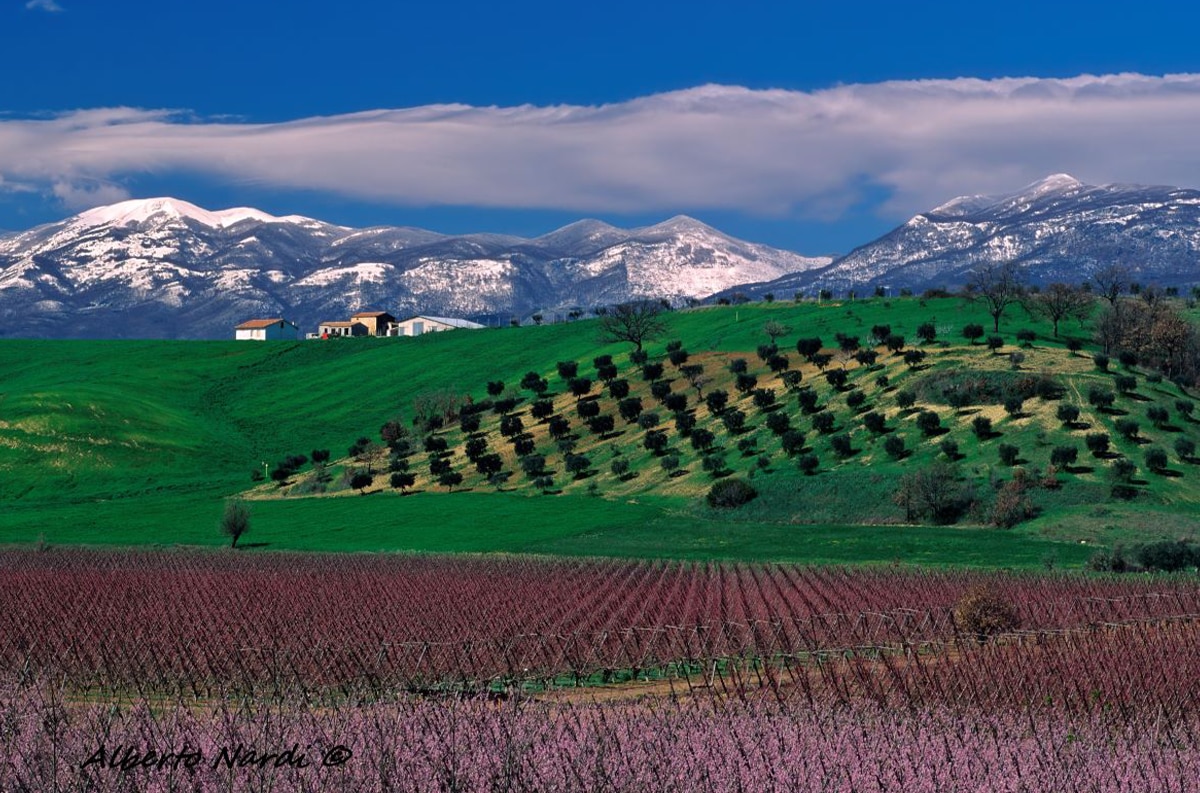 Alla scoperta dei Monti dell’Orsomarso, nel Parco Nazionale del Pollino ...